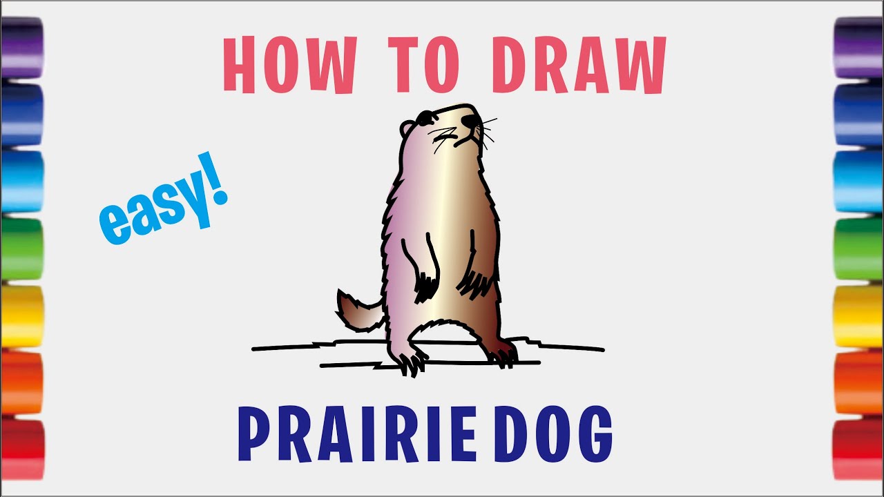 EASY prairie dog drawing | How to draw cute dog - YouTube