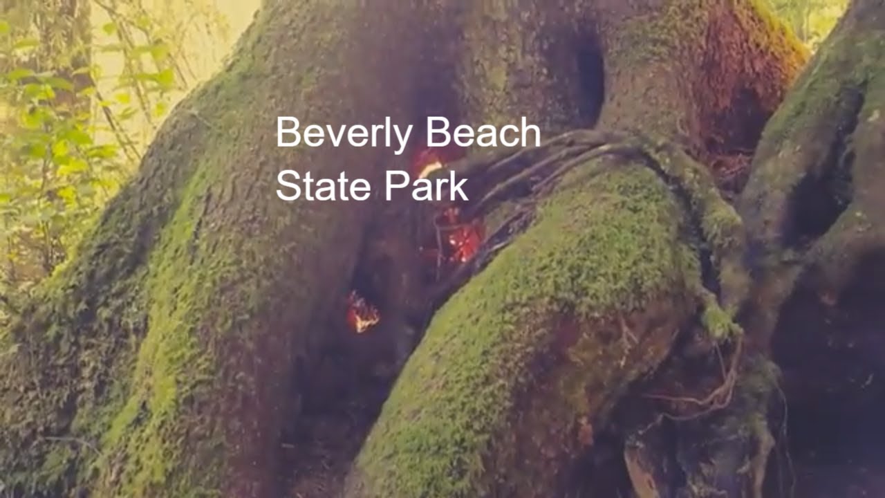 Beverly Beach State Park , Oregon Coast, Pacific Ocean - YouTube