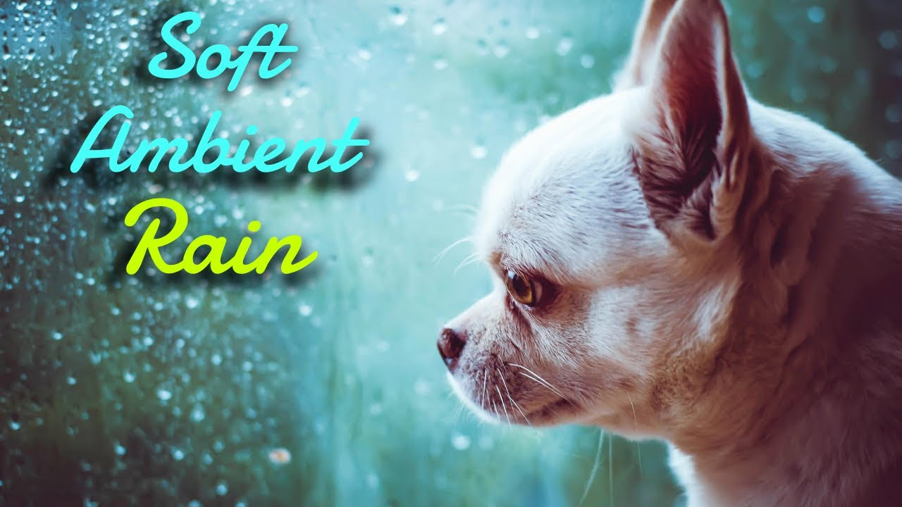 Soft Ambient Rain | 3 HRS | Dark Screen | White Noise - YouTube