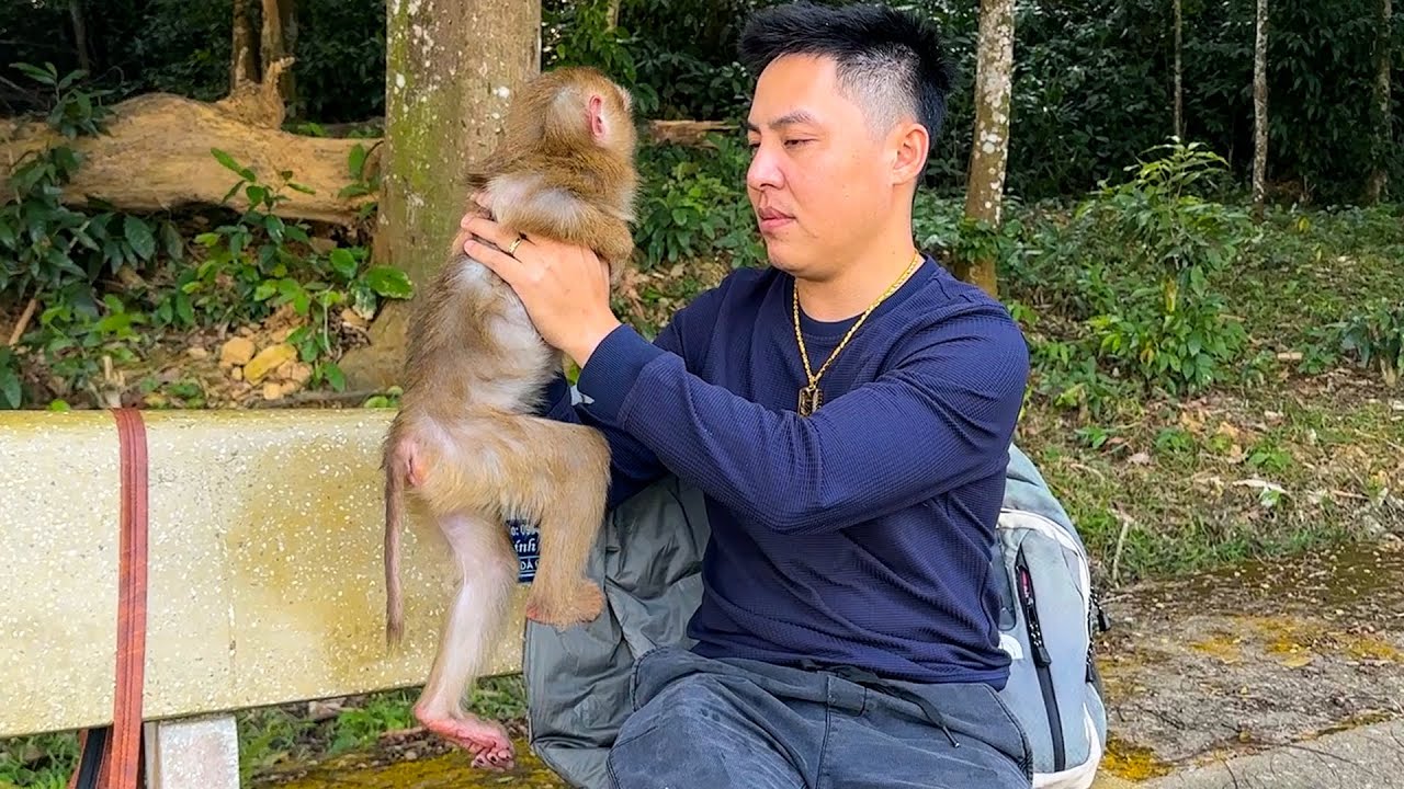 Loving Dad Evaluates Monkey Kaka's Weight by Holding Him Tight - YouTube