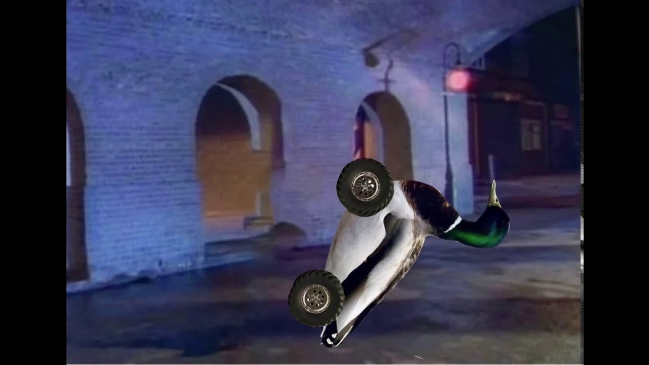 Duck / Rick Roll - YouTube