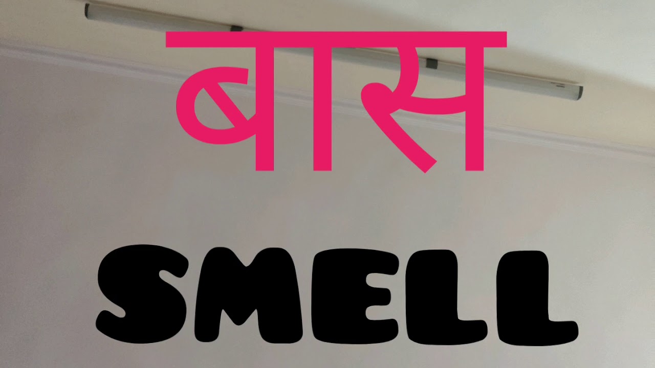 Means Smell Various Kinds Of Smells YouTube means-smell-various-kinds-of-smells-youtube