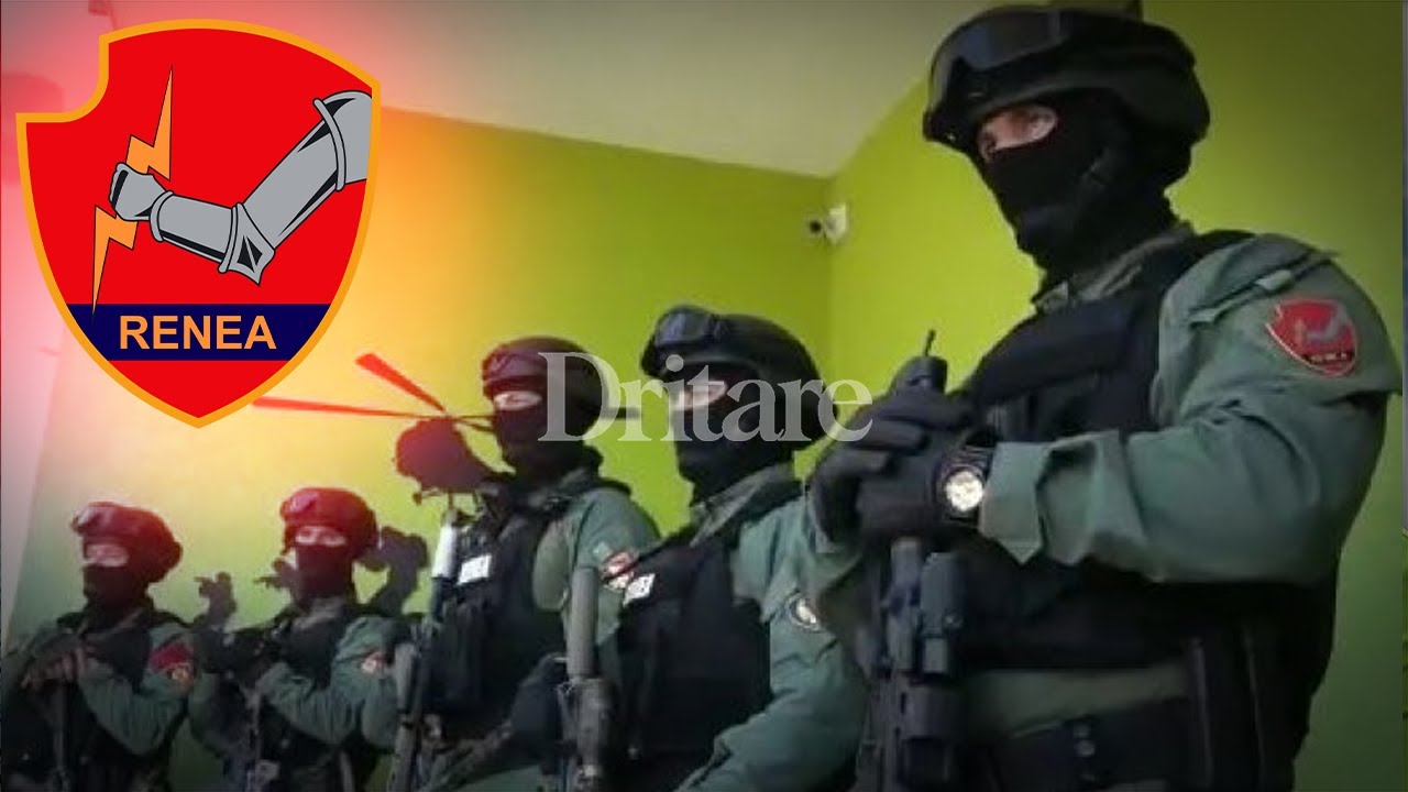 Pse bosët e krimit nuk luftojnë me RENEA-n! Flet gazetari! | Shqip nga ...