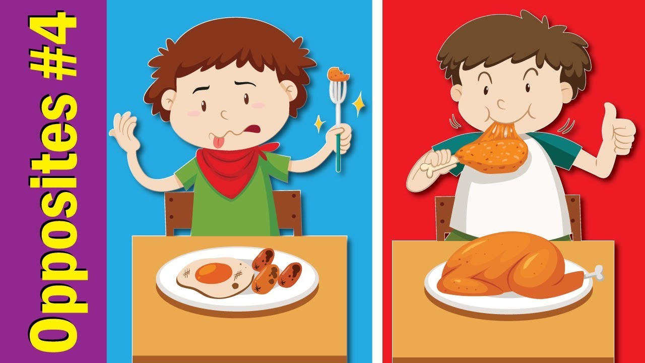 Opposites for Kids #4 | Fun Kids English - YouTube