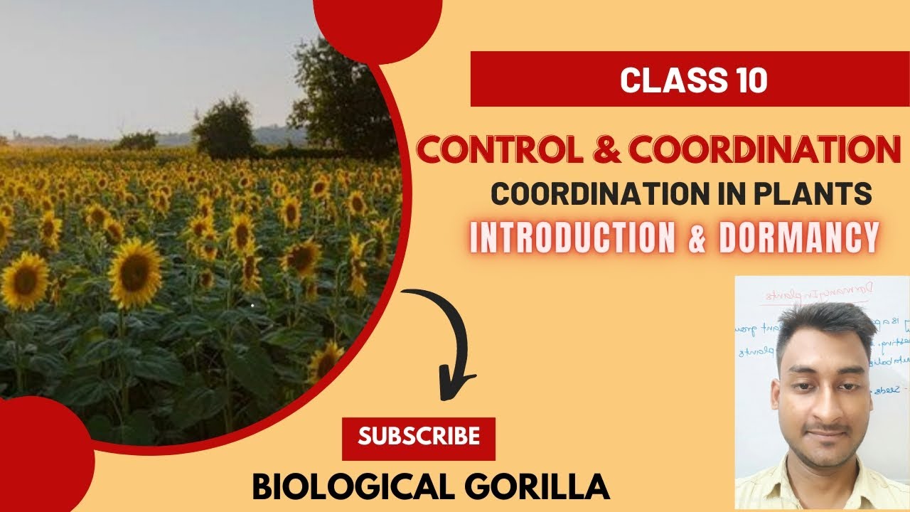 CLASS 10: CONTROL & COORDINATION - COORDINATION IN PLANTS (INTRODUCTION ...