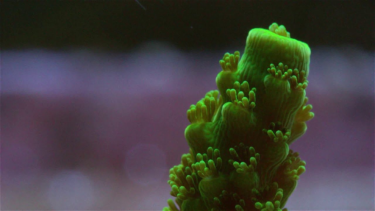 Avoid Chasing Numbers - YouTube