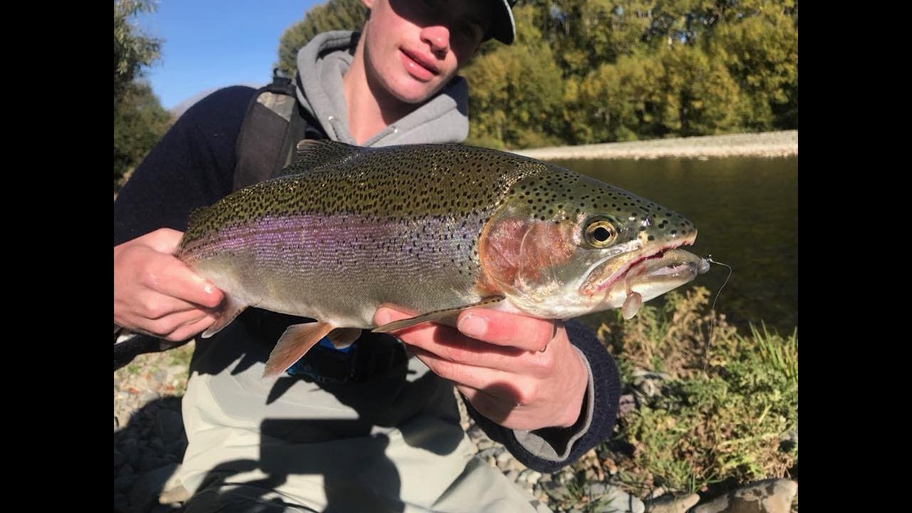 Sight Fishing Shallow Water Rainbow Trout On Spinning Gear. - YouTube