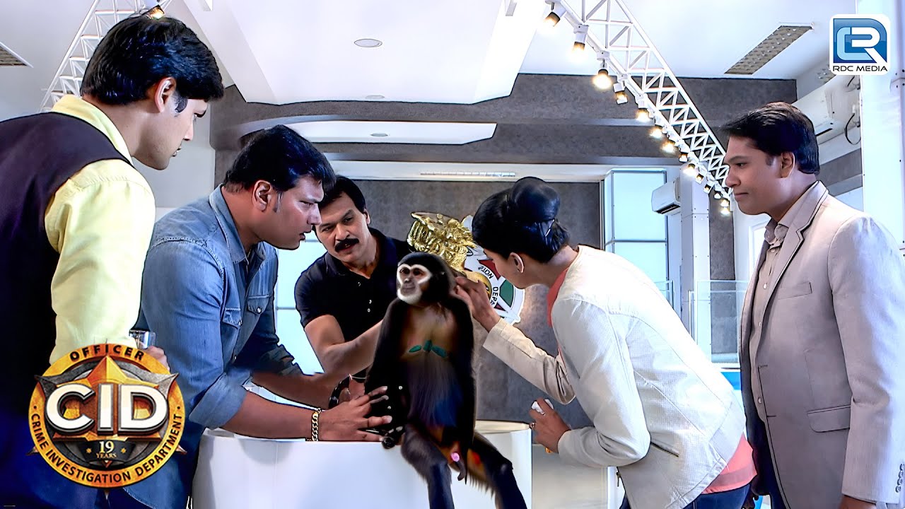 मायावी Chimpanzee से कैसे करेगी Team CID Case Solve | Best Of CID ...