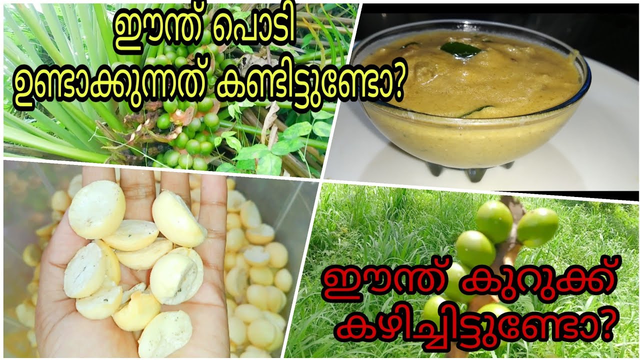 ഈന്ത് പിടി | Eenth Pidi |Eenth Powder Making | Pidi Recipe| - YouTube