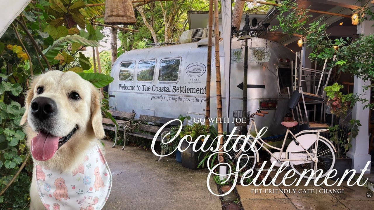 The Coastle Settlement | Pet-friendly Cafe (Changi) - YouTube