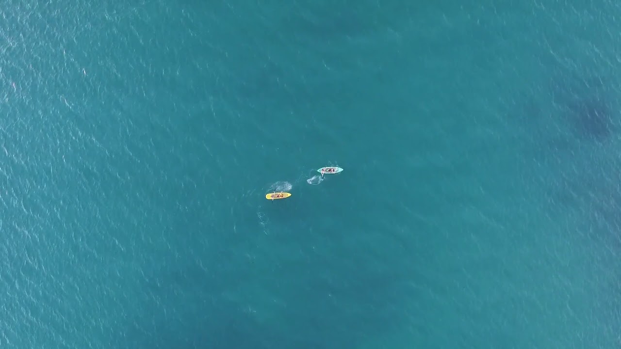 Kayaking in Mandurah - YouTube