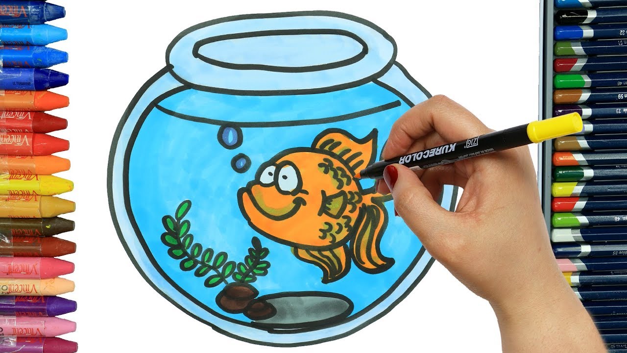 How to draw orange fish | Colors | Drawing and Painting | How to color ...