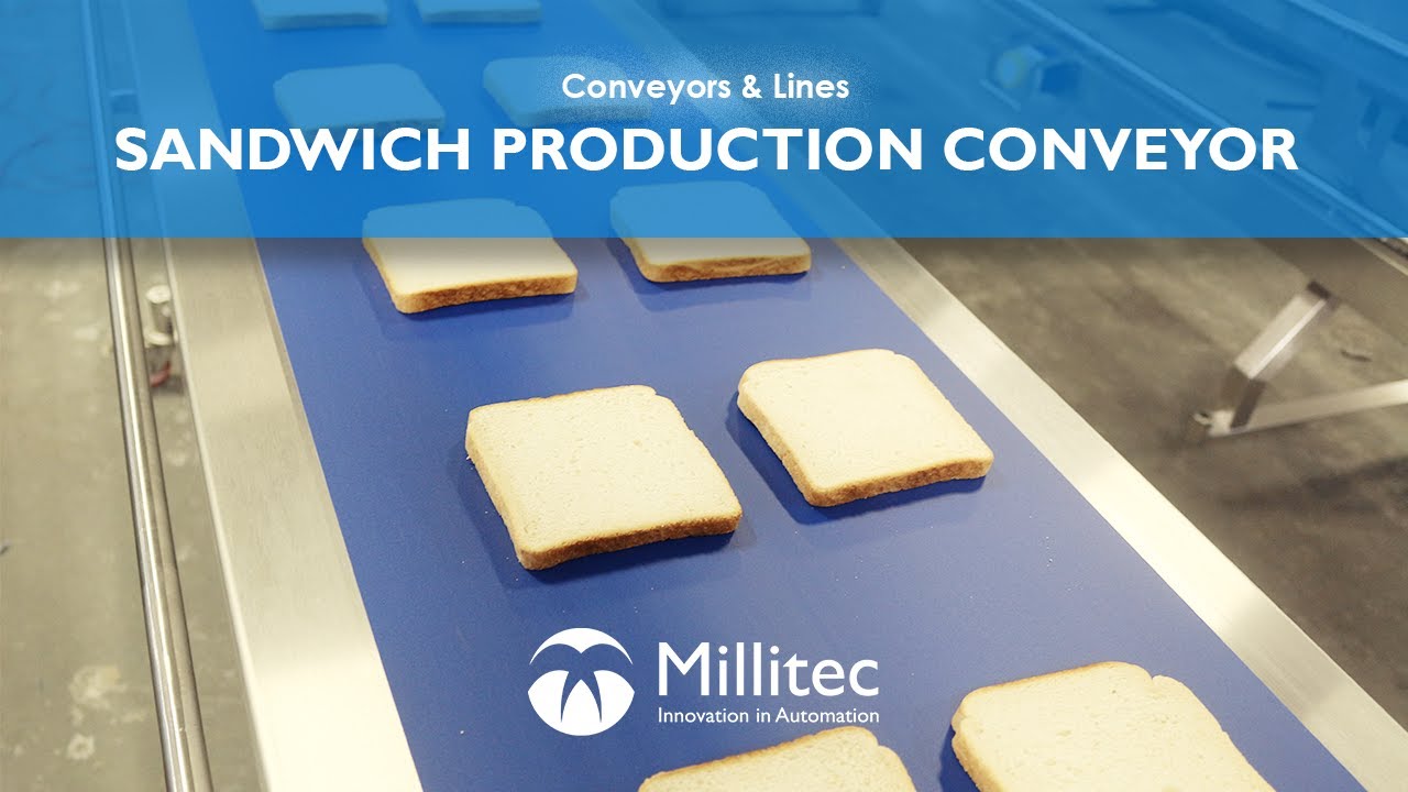 Sandwich Production Conveyor | Simplify the processing of food products ...