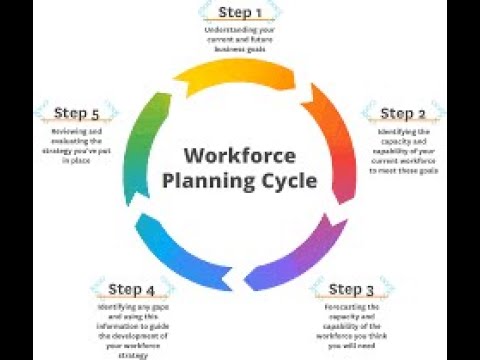 What is Human Resource/HR Planning in HRM-What is replacement chart ...