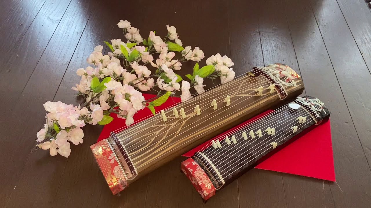 I played a miniature koto Japanese harp “SAKURA” cherry blossom It's a ...