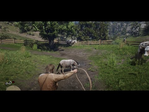 Red Dead Redemption 2 treasure hunt , donkey ride - YouTube