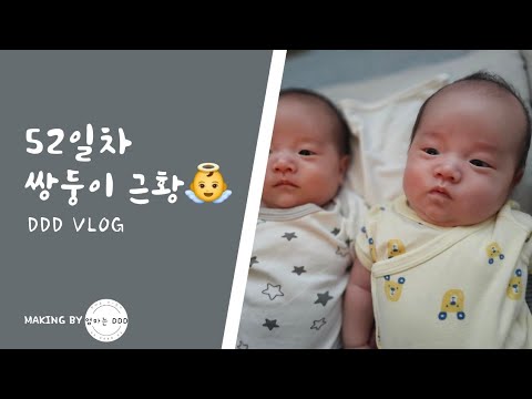 [DDD VLOG] 44일차 쌍둥이 근황👼 - YouTube