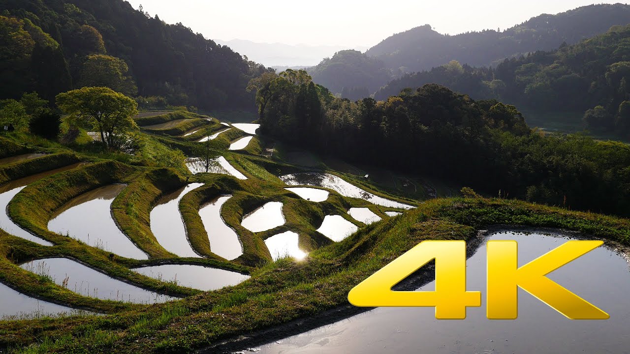 Rice Terraces In Japan Welcome Kyushu Official | 🌿 Experience The