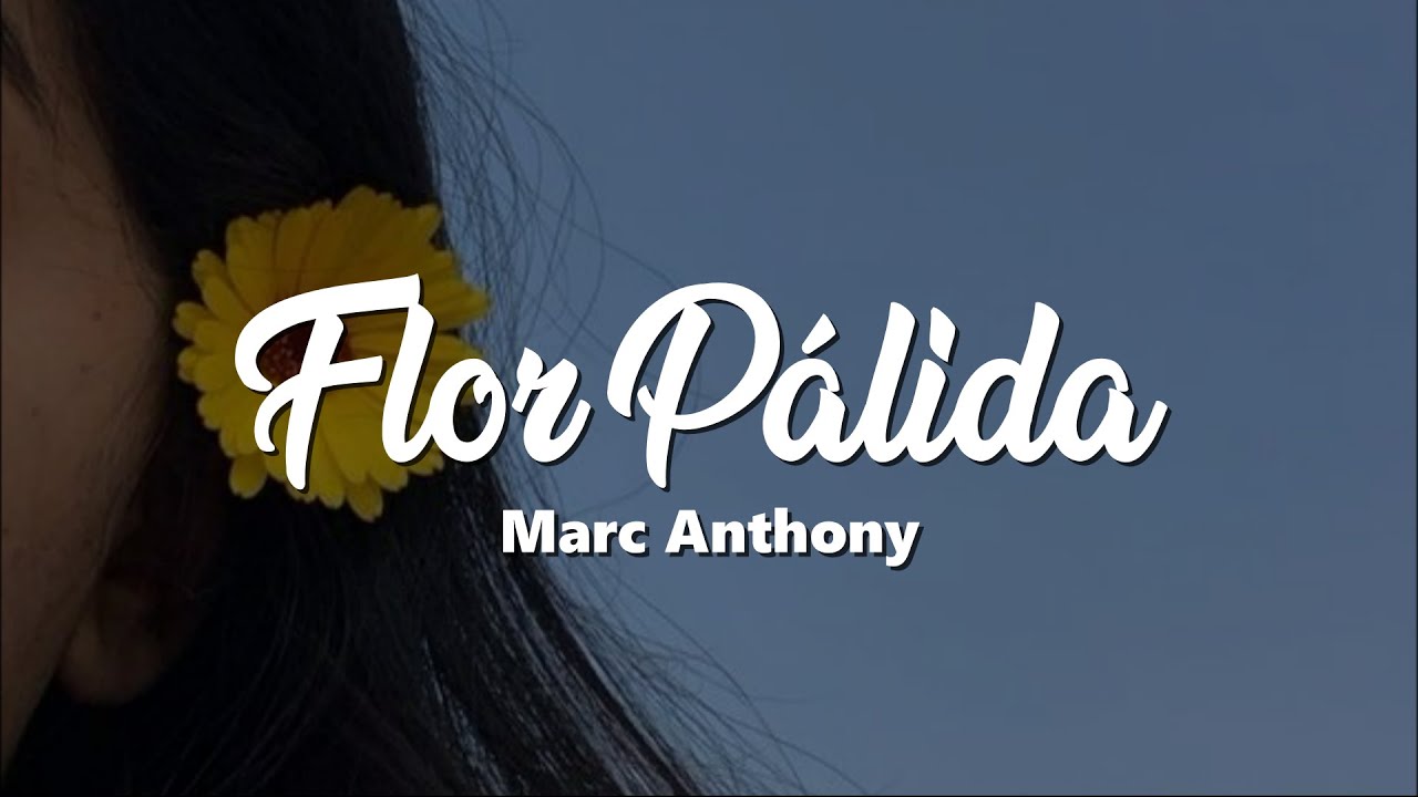 Marc Anthony - Flor Pálida (Letra/Lyrics) - YouTube