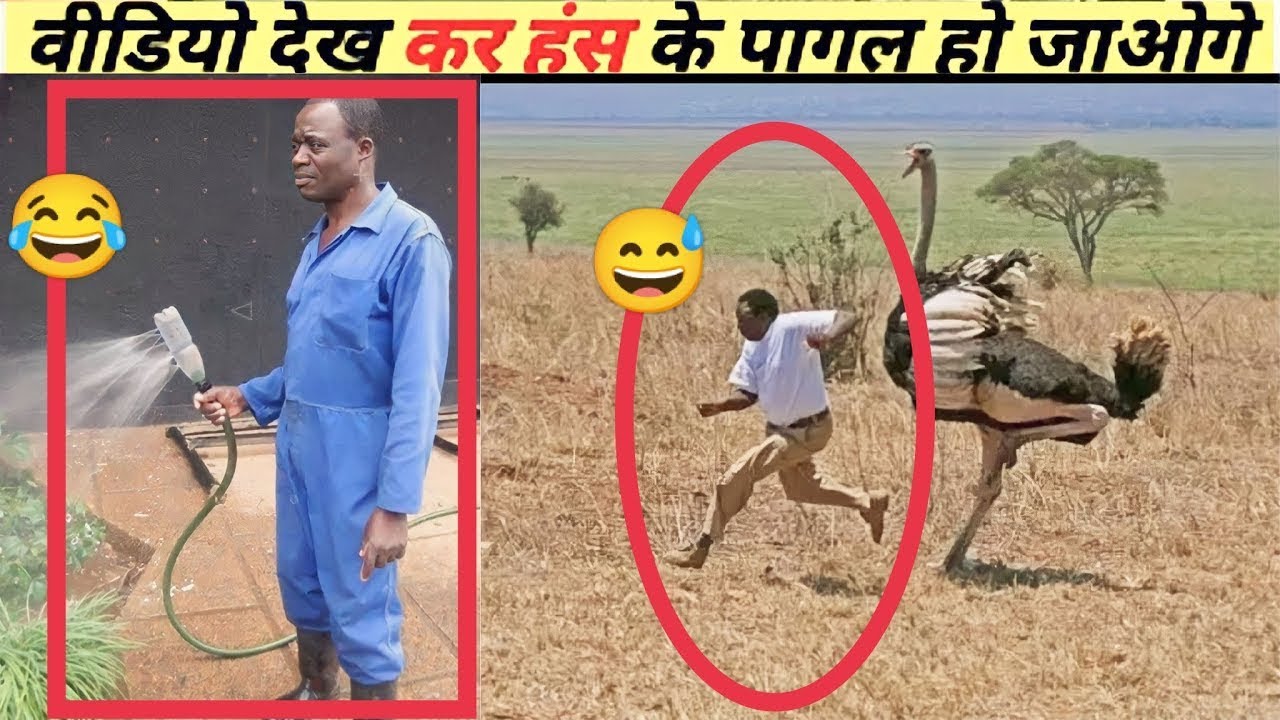 😆😆Funniest best idiot people caught on camera #funny || TAPDEVAGAN ...