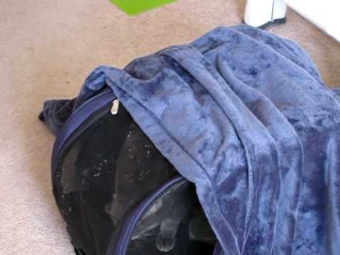 Case 170303 for Dr. Dodman 1 - YouTube