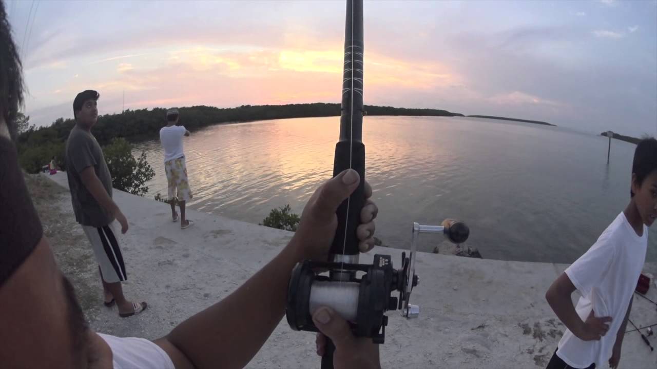Key West Catching a Stingray (STEVE ERWIN killer) - YouTube