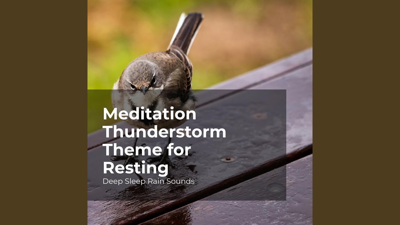 Rainfall Drowsiness - YouTube