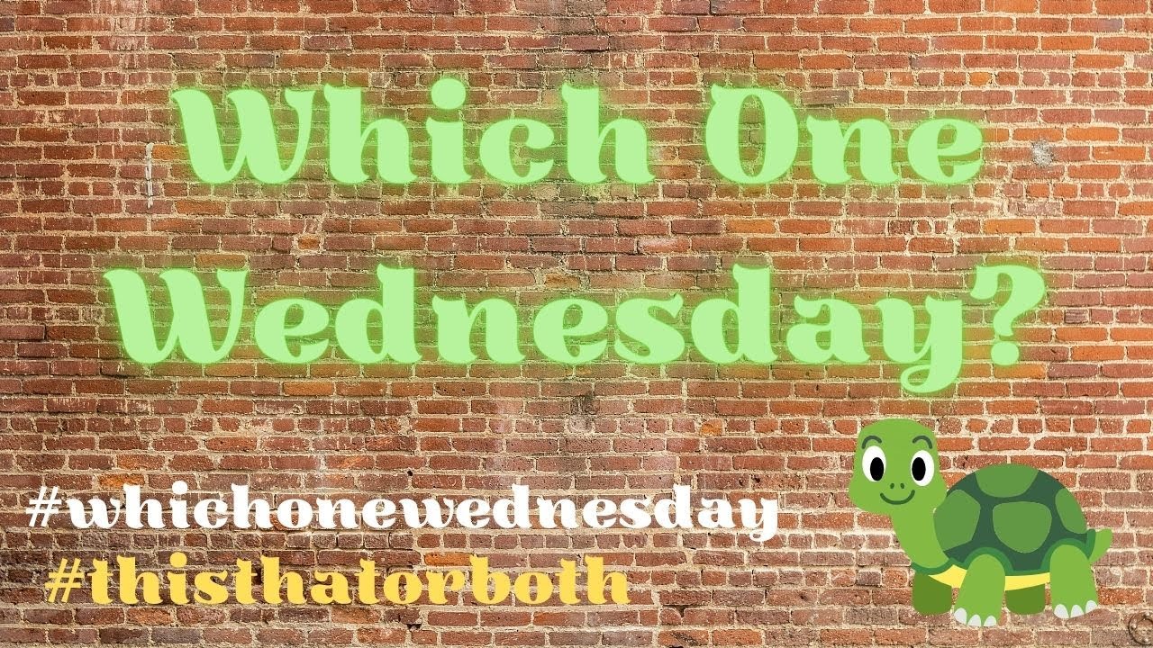 Ep 41~Which One Wednesday? #whichonewednesday #thisthatorboth - YouTube