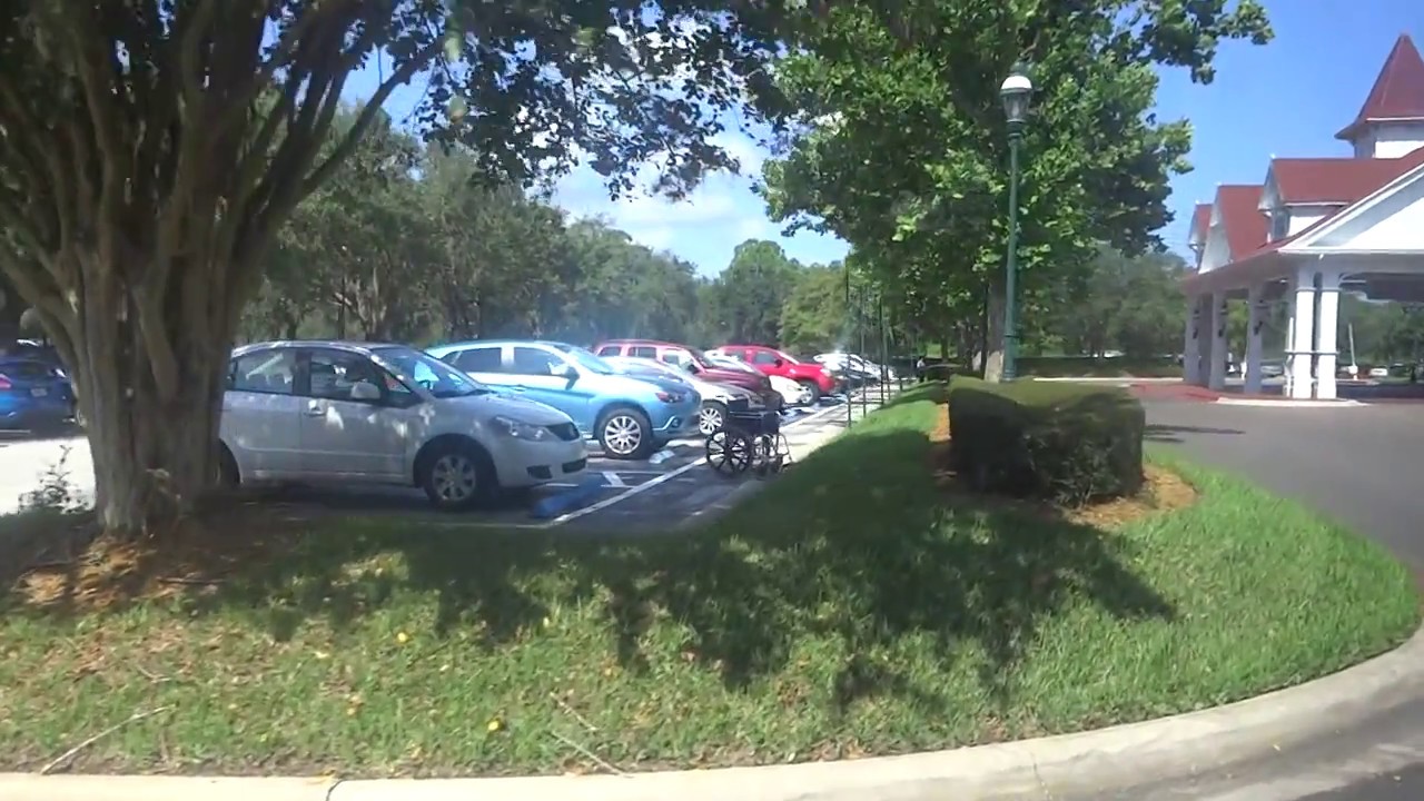 On-board Walt Disney World Transport Gillig - Grand Floridian to Disney ...