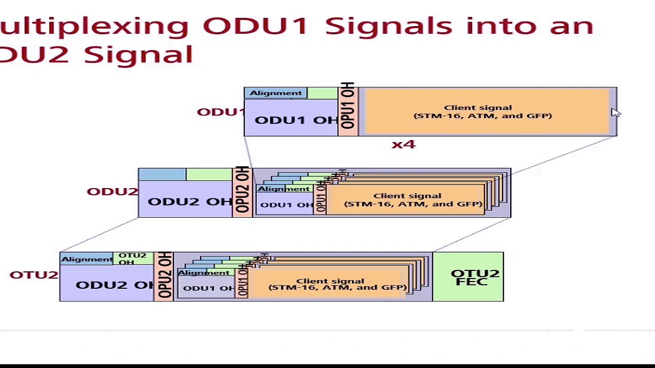 OTN DWDM Transmission 2 - YouTube