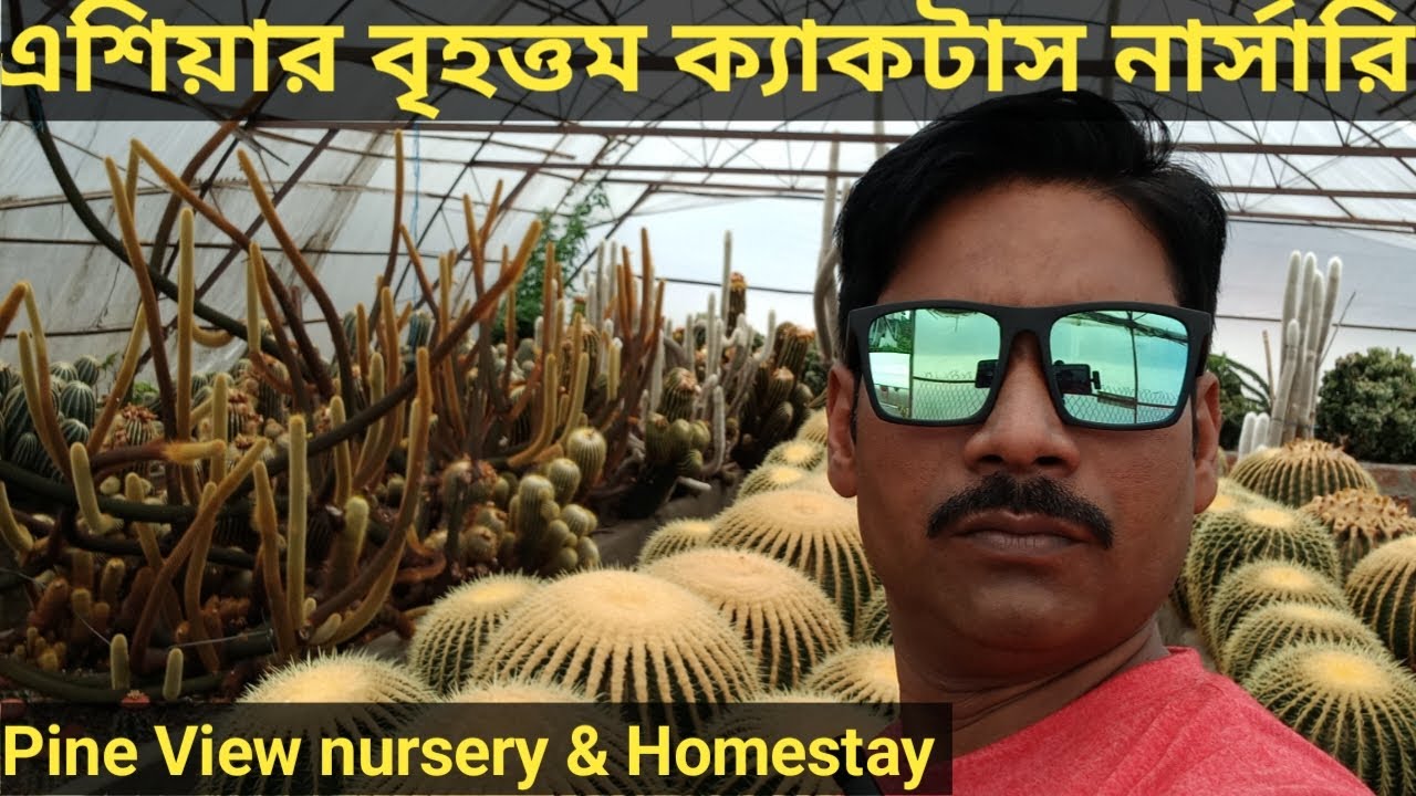 Pine view nursery kalimpong | cactus Garden | kalimpong tour guide ...