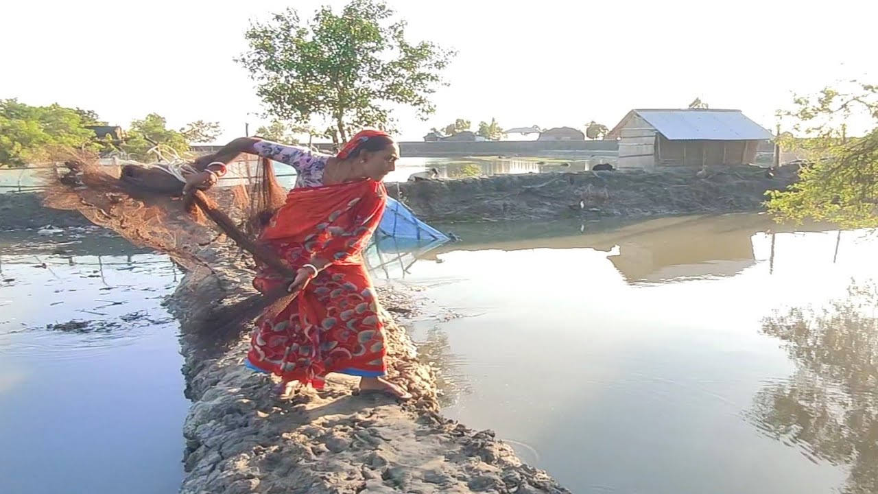 Amazing Village Women Net Fishing | Suroma Hand Cast Netting in Pond ...