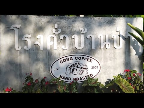 GONG COFFEE, (โรงคั่วบ้านป่า Gong Coffee) - YouTube