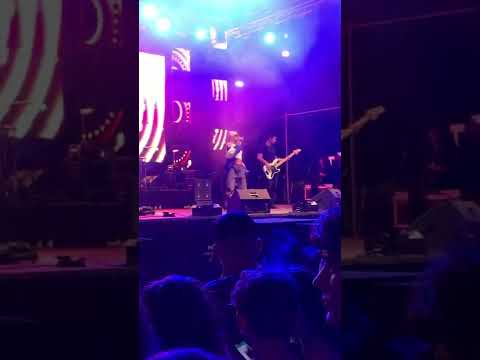 Zilele câmpiei turzii Alexandra Stan