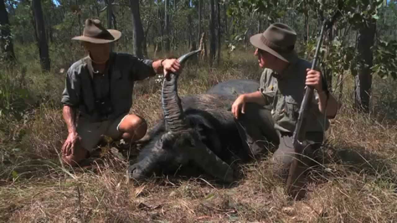 Australia Feature Hunt - North American Hunter 2014 Show 13 - YouTube
