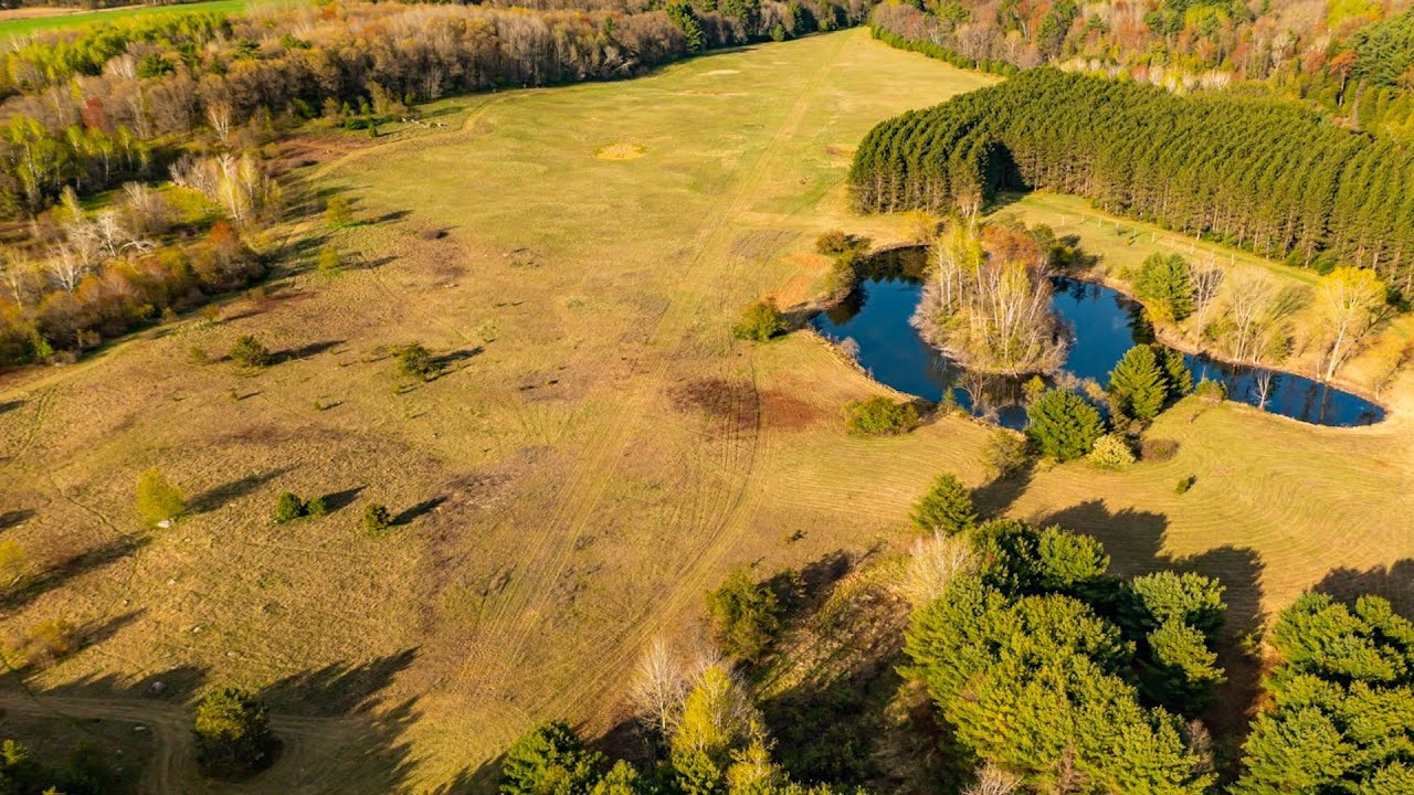 62 Acres On The Scenic Plover River In Marathon County, WI - YouTube