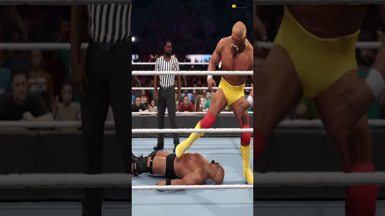 WWE Stone Cold vs. Hulk Hogan - YouTube