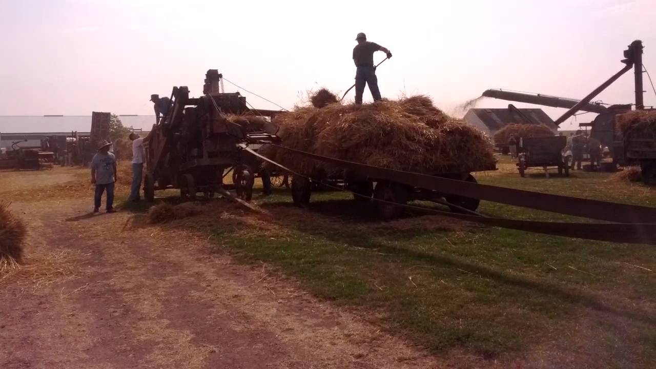 Rumley Oil Pull threshing at Lesueur 2013 - YouTube