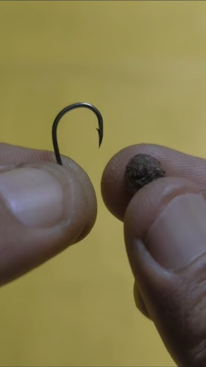 Seperti Ini Cara Memasang Umpan Mancing Ikan Nila #shorts #fishing #tutorial - YouTube