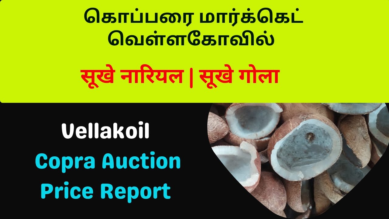 கொப்பரை மார்க்கெட் வெள்ளகோவில் | Vellakoil Copra Bidding Final Price ...