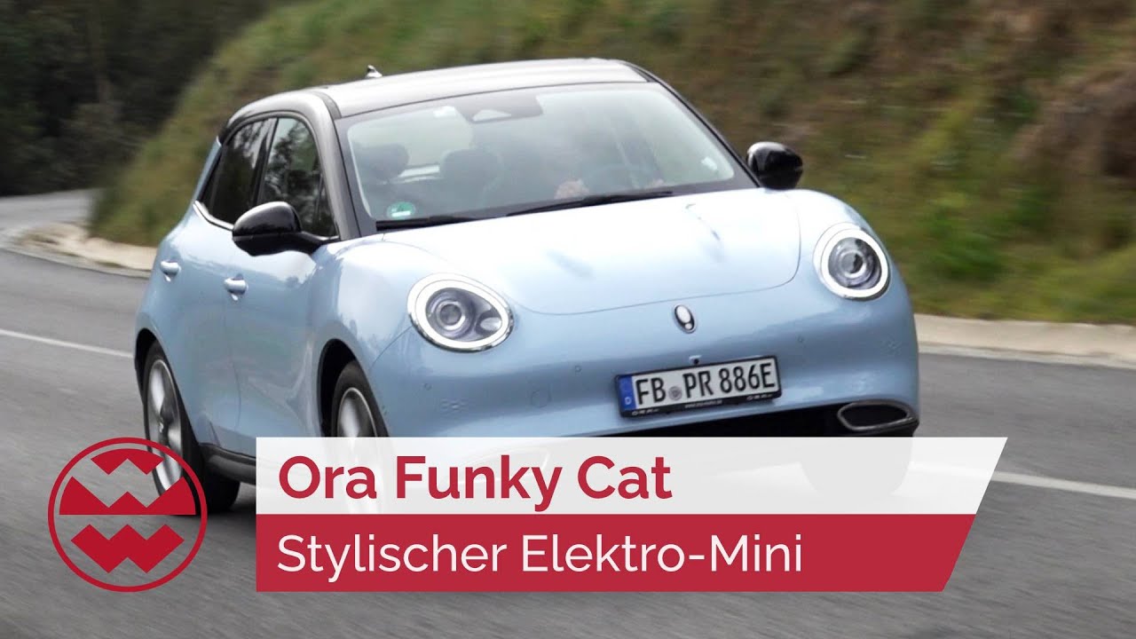 Ora Funky Cat: Wie gut ist das coolste Elektro-Auto? - World in Motion ...