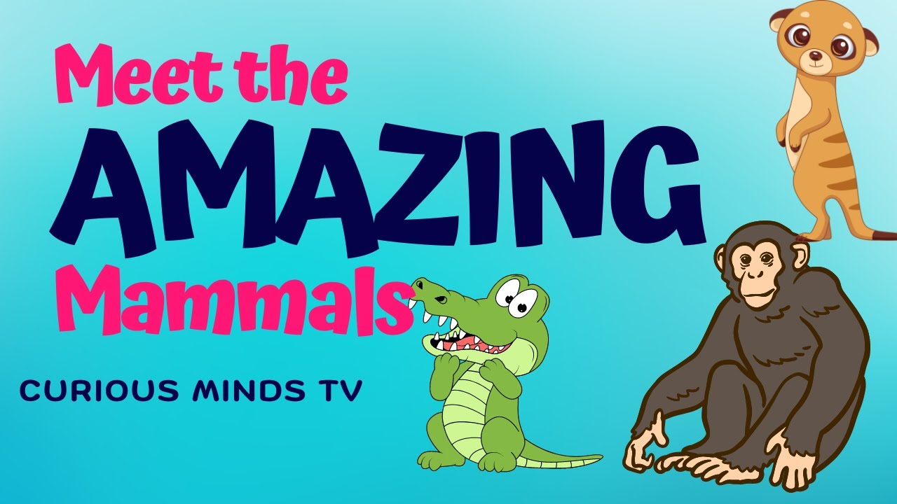 Meet the Amazing Mammals: Primates and More with Curious Minds TV | Fun ...