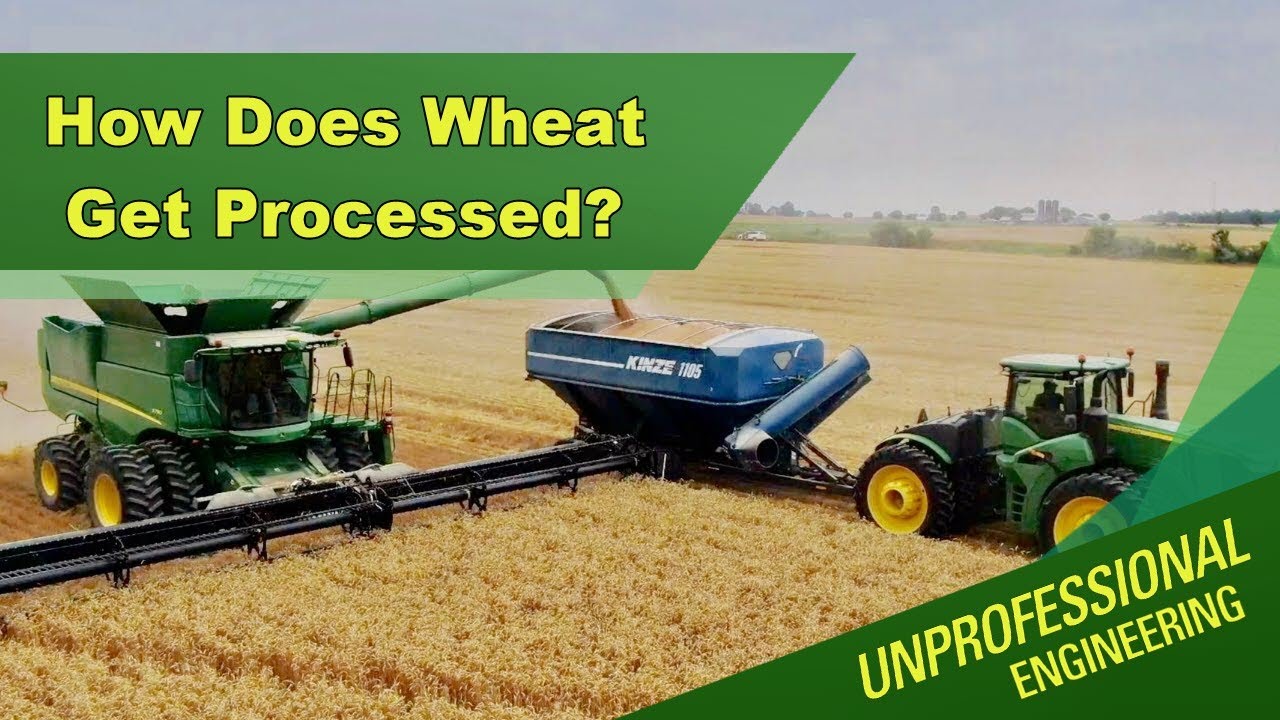 How Does Wheat Get Processed? - Episode 256 - YouTube