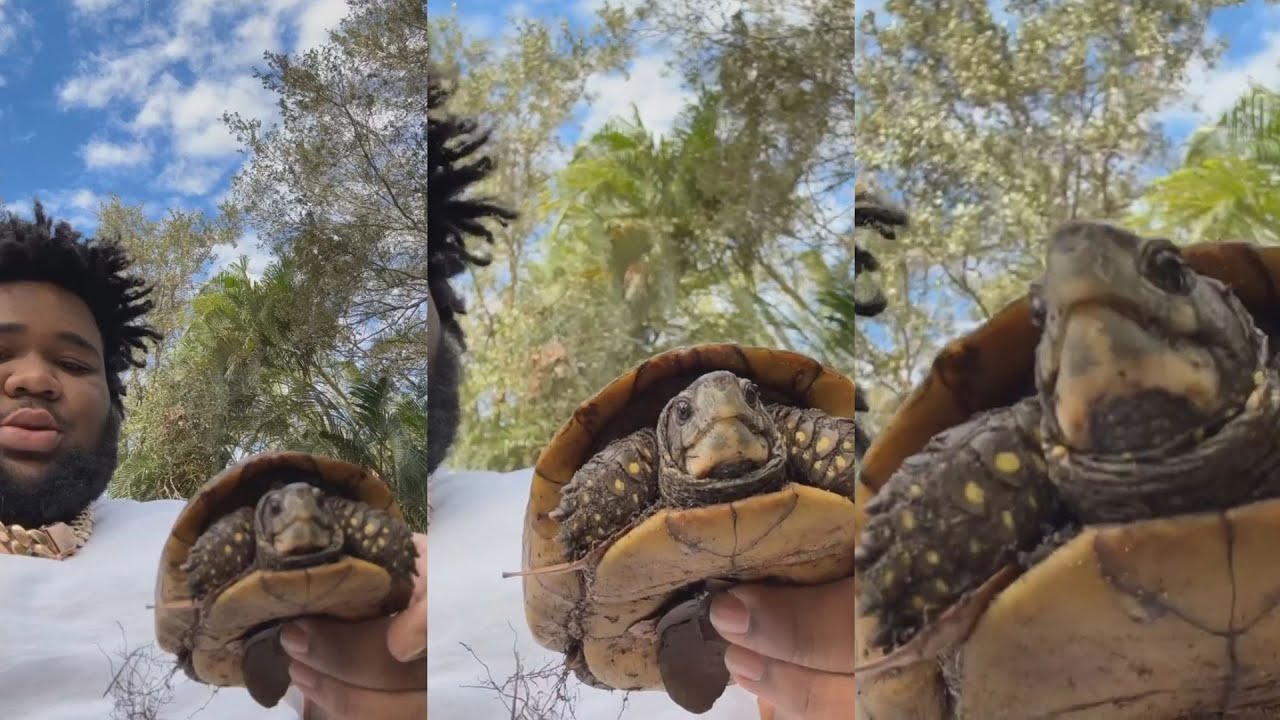 Rod Wave Says He Just Saved A F****** Turtle - YouTube