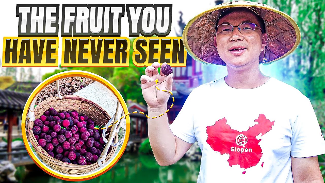 Chinese Bayberry: an Exquisite and Delicious Fruit - YouTube
