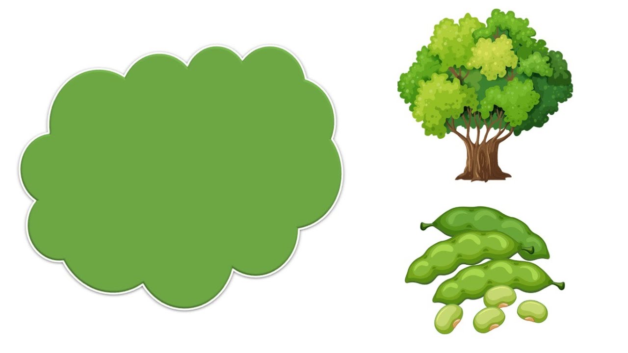 Colors Song | Colors Recognition | Sing Along - YouTube