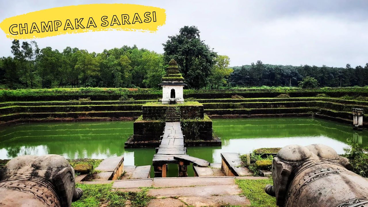 Champaka Sarasi - YouTube