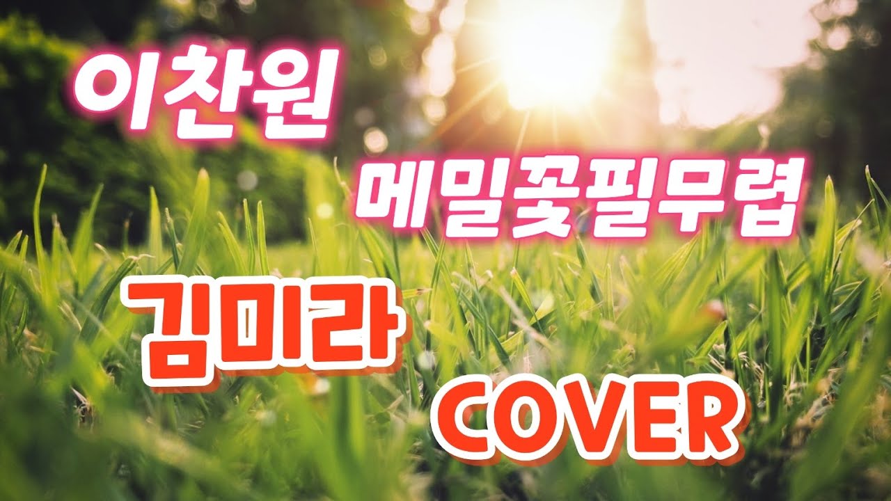 이찬원 메밀꽃필무렵 Cover김미라 Youtube