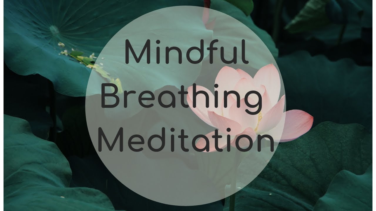 Mindful Breathing Meditation - YouTube