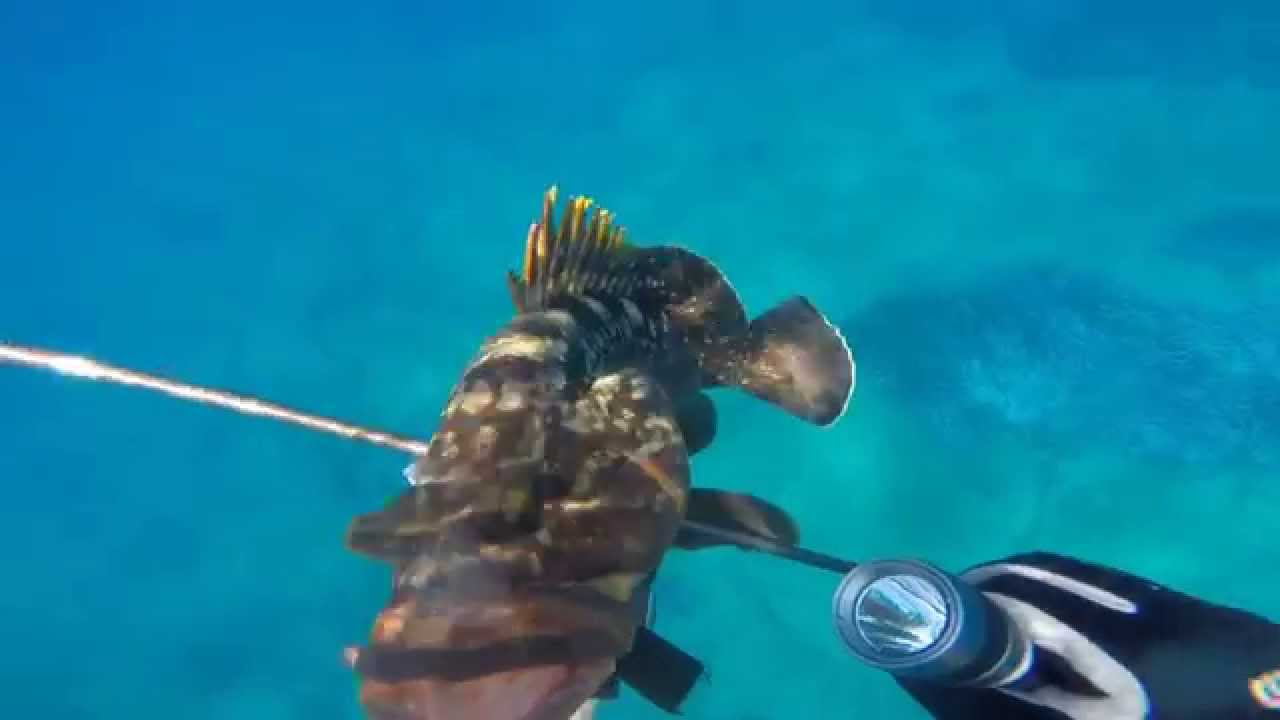 Spearfishing Sitia , Crete - Ψαροντουφεκο Σητεια , Κρητη - YouTube